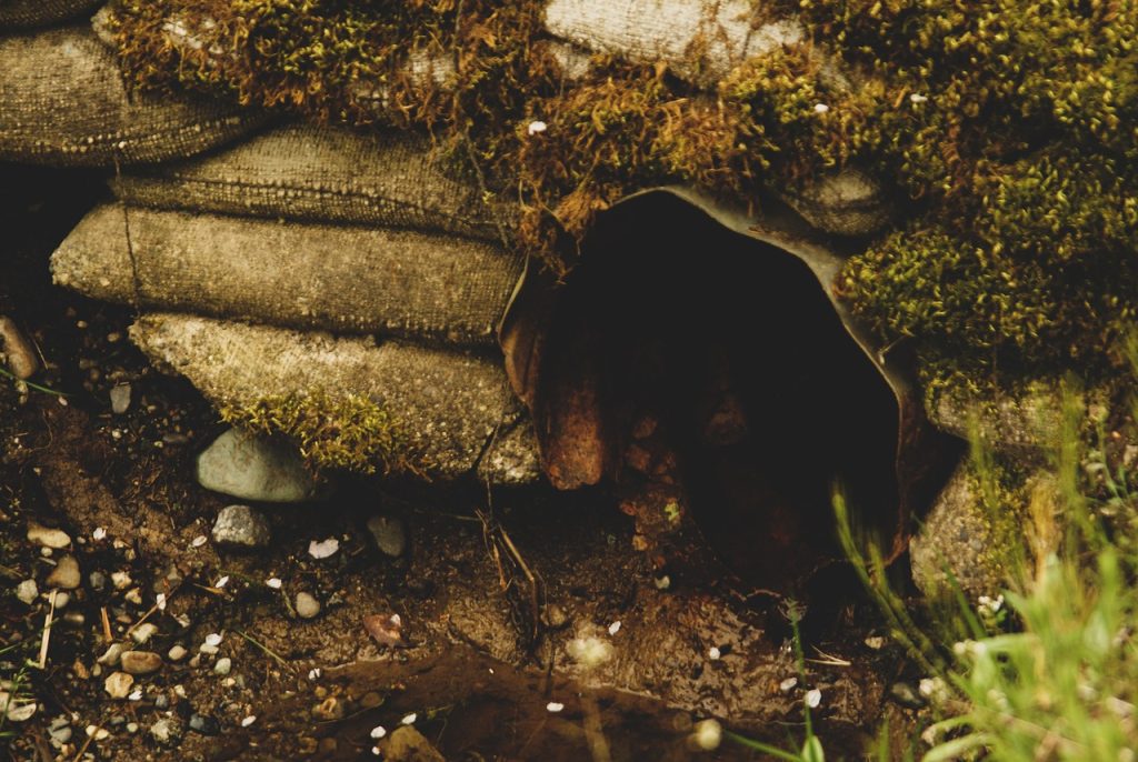 Water Issues – Blue Water Baltimore