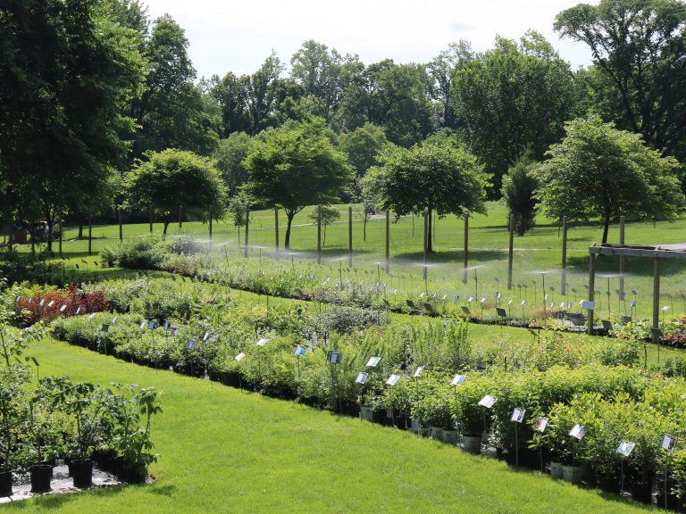 Blue Water Baltimore