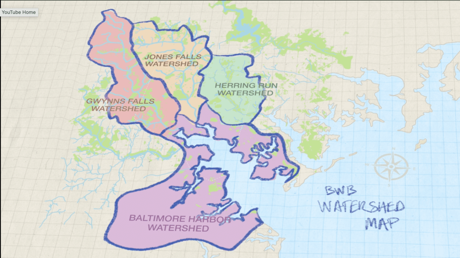 About – Blue Water Baltimore