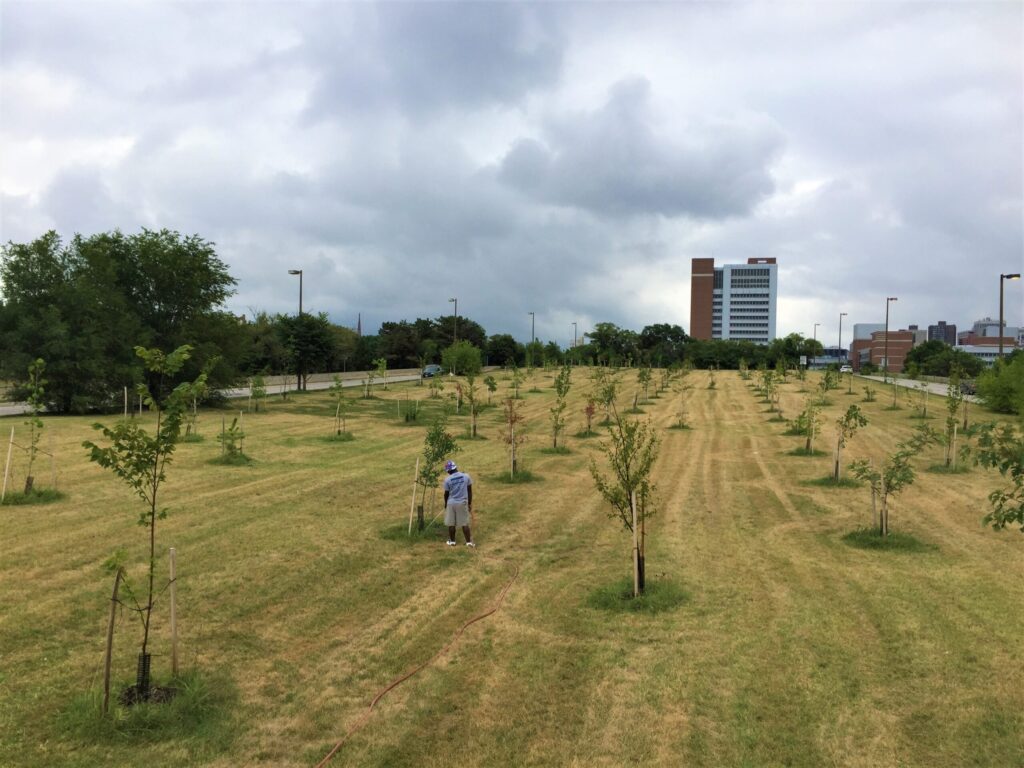 Baltimore City Tree Canopy by Parcel Size and Land Use – Blue Water ...