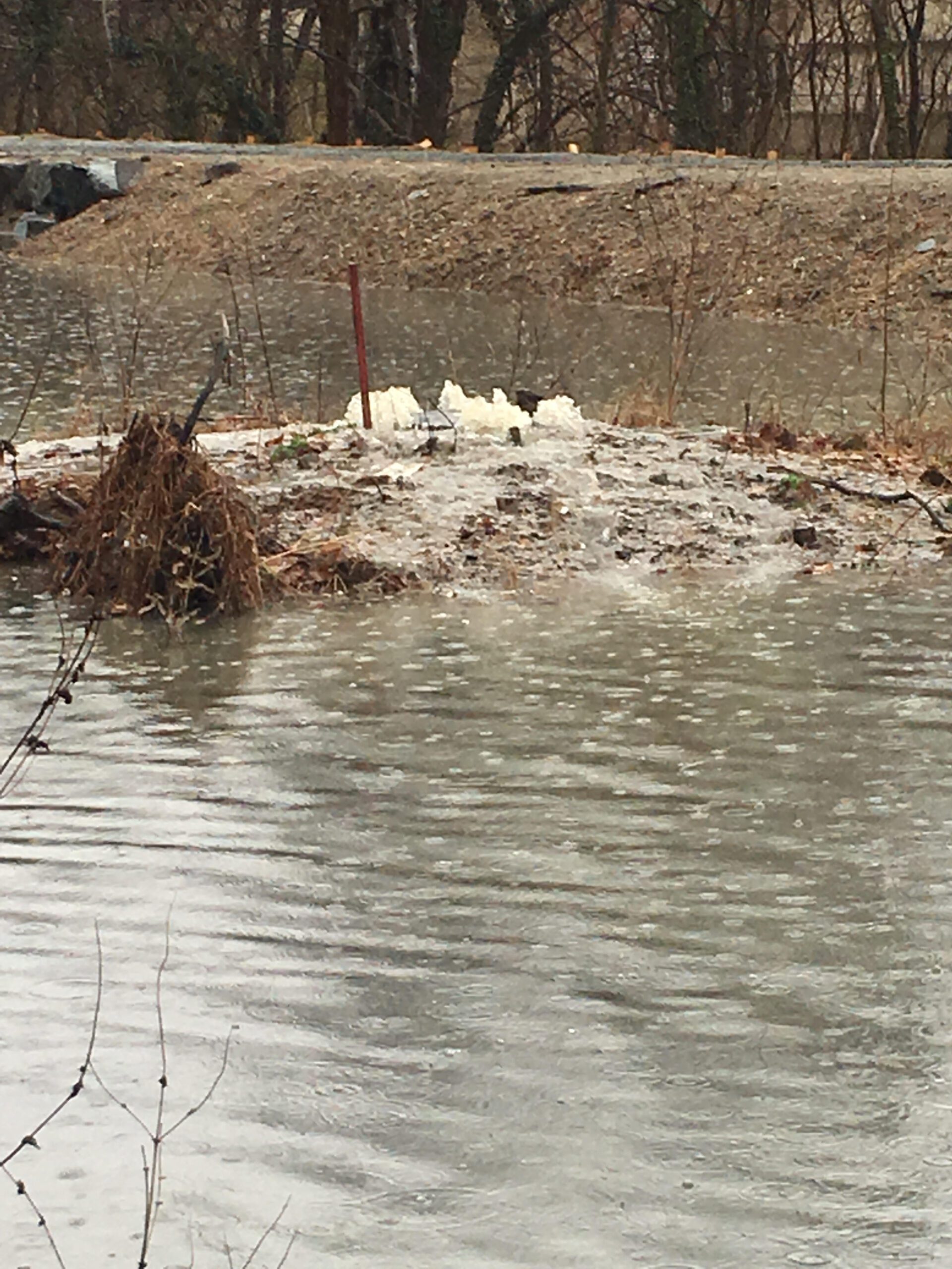 Jack’s Journey to BWB – Blue Water Baltimore