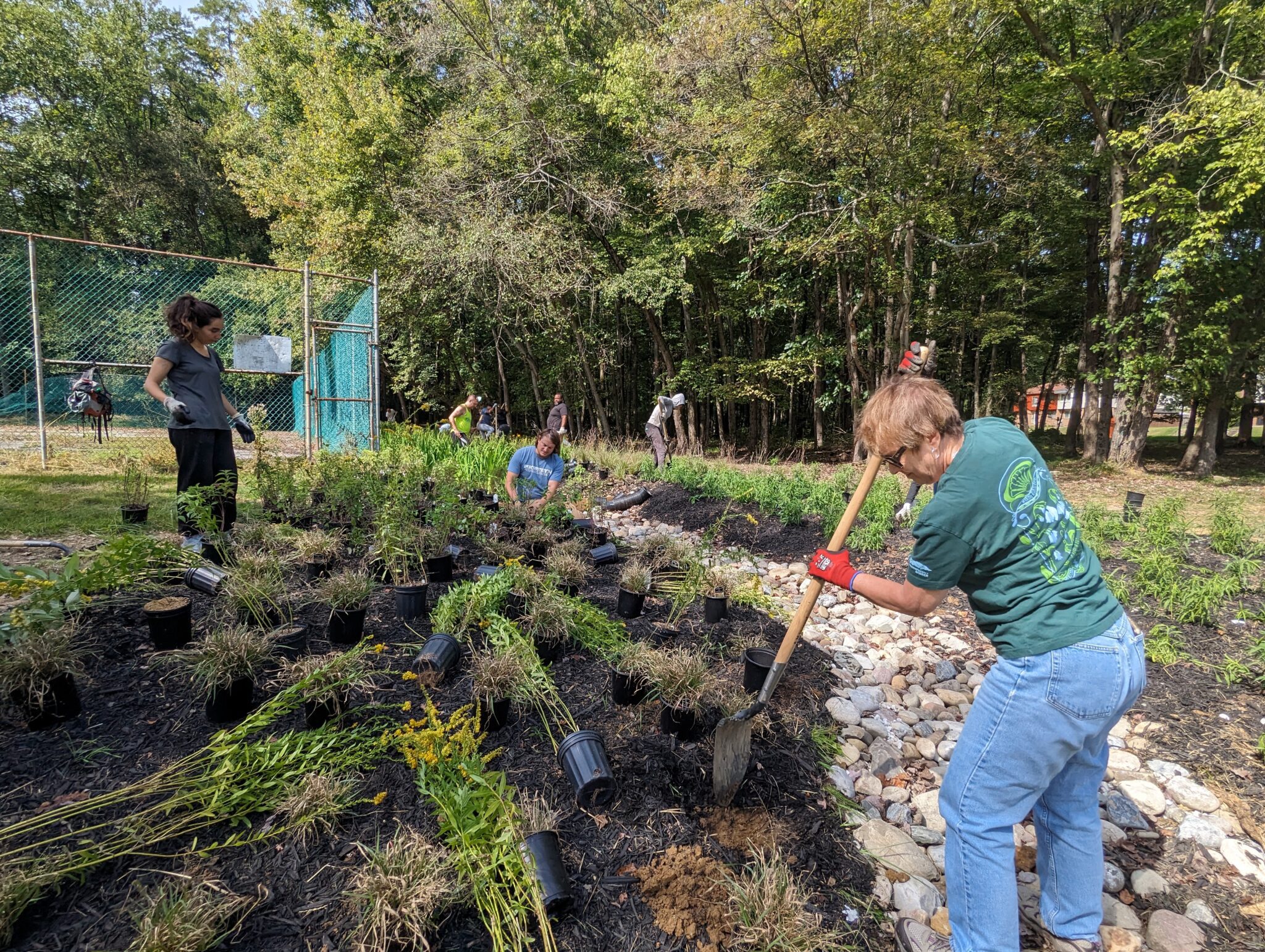 Village of 12 Trees Native Planting – Blue Water Baltimore