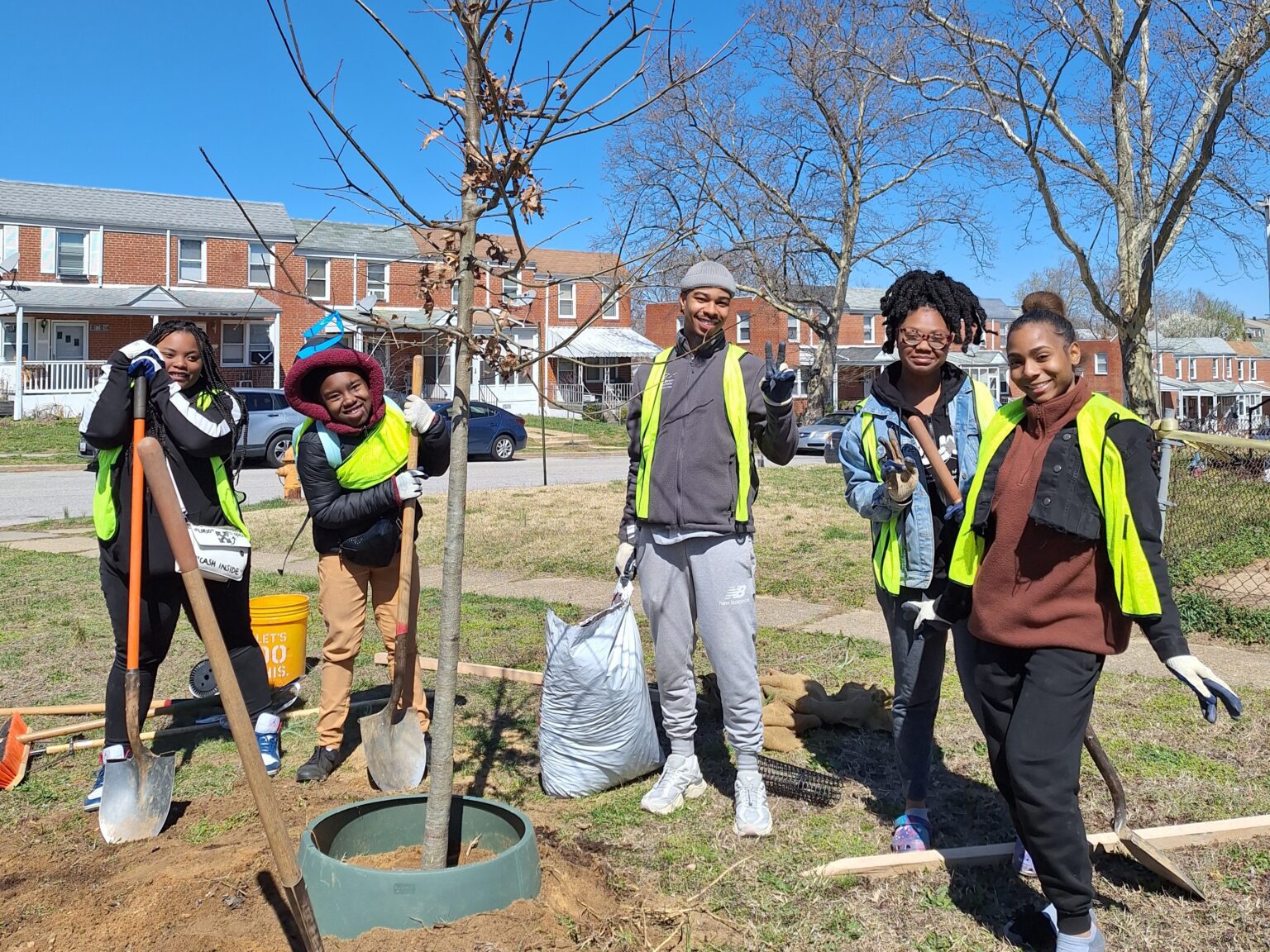Change in Tree Law Means a Greener Baltimore – Blue Water Baltimore