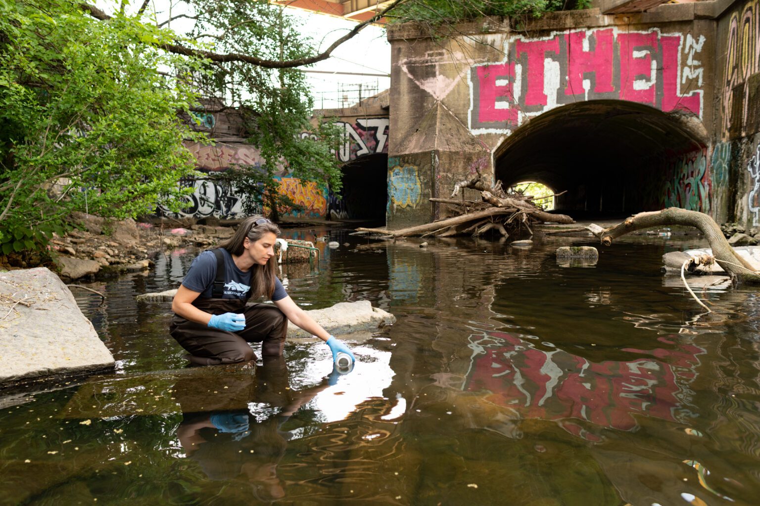 2023 Water Quality Report Card – Blue Water Baltimore