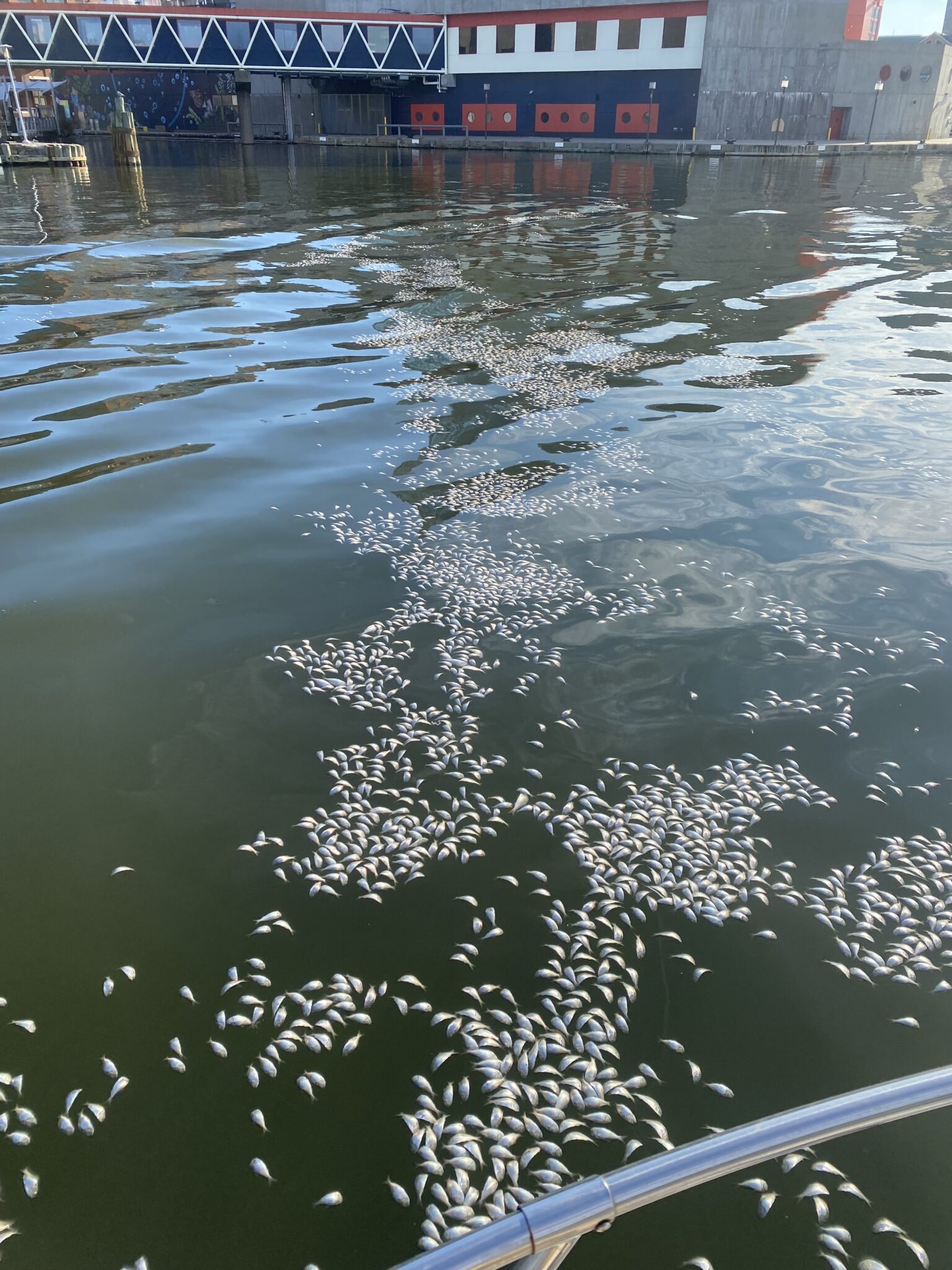 2025 Water Quality Report Card – Blue Water Baltimore