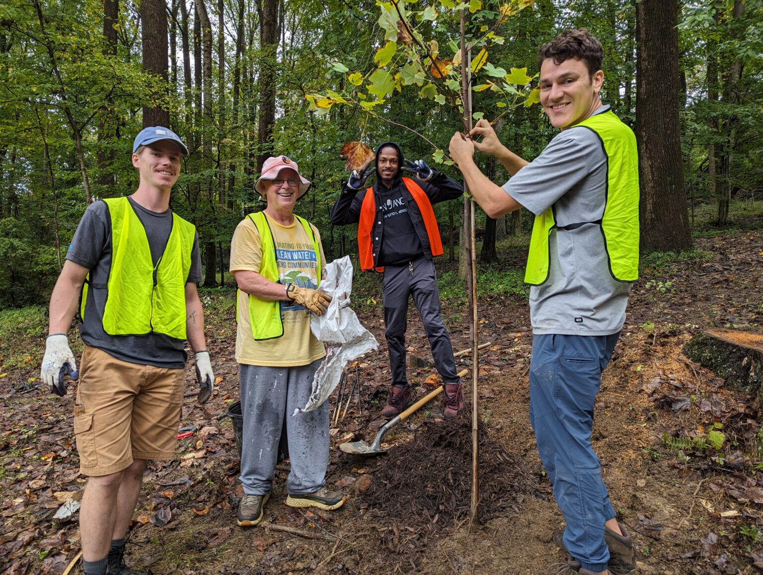Baltimore County Tree Orders – Blue Water Baltimore